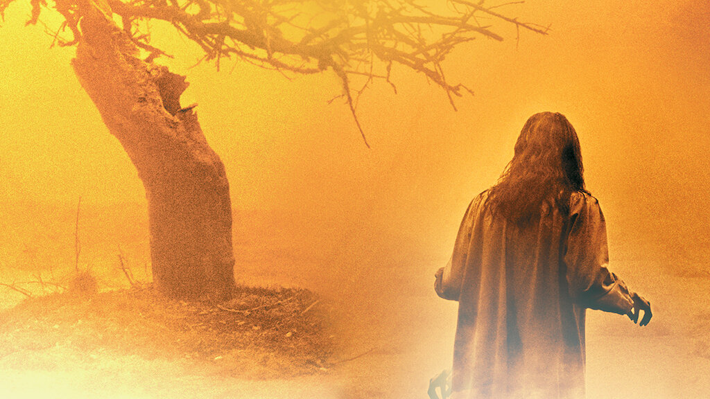 The Exorcism Of Emily Rose Wallpaper